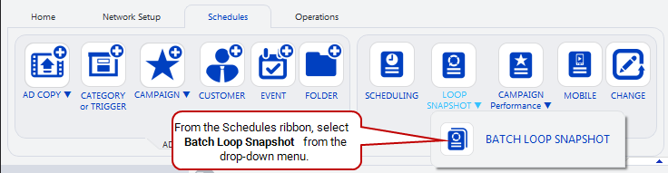 Loop Snapshot Report